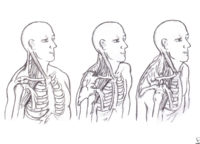 Improve Posture by Opening the Chest - West Suburban Pain Relief