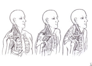 Improve Posture by Opening the Chest - West Suburban Pain Relief