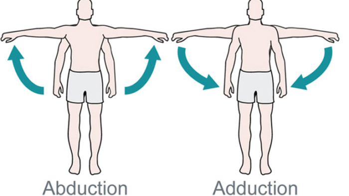 Subscapularis - Front of Shoulder Pain - West Suburban Pain Relief