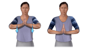 Supinator - Forearm and Thumb Pain - West Suburban Pain Relief