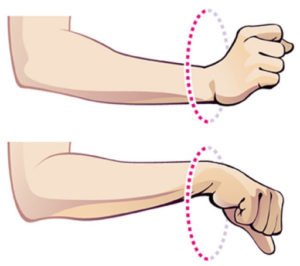 Wrist Extensors - Hand and Forearm Pain - West Suburban Pain Relief
